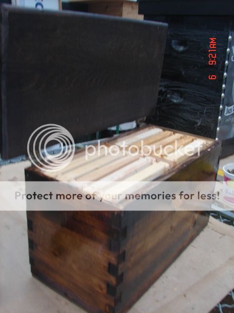 2013 double mating nuc design-photos and parts | Beesource Beekeeping Forums